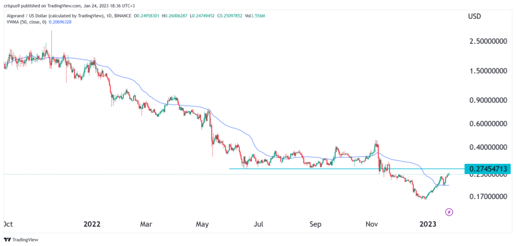 Algorand Price Rallies Amid Mixed On-Chain Metrics - Global Coin Report