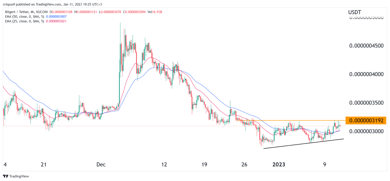 Bitgert Price Prediction as its DeFi Ecosystem Implodes - Global Coin ...